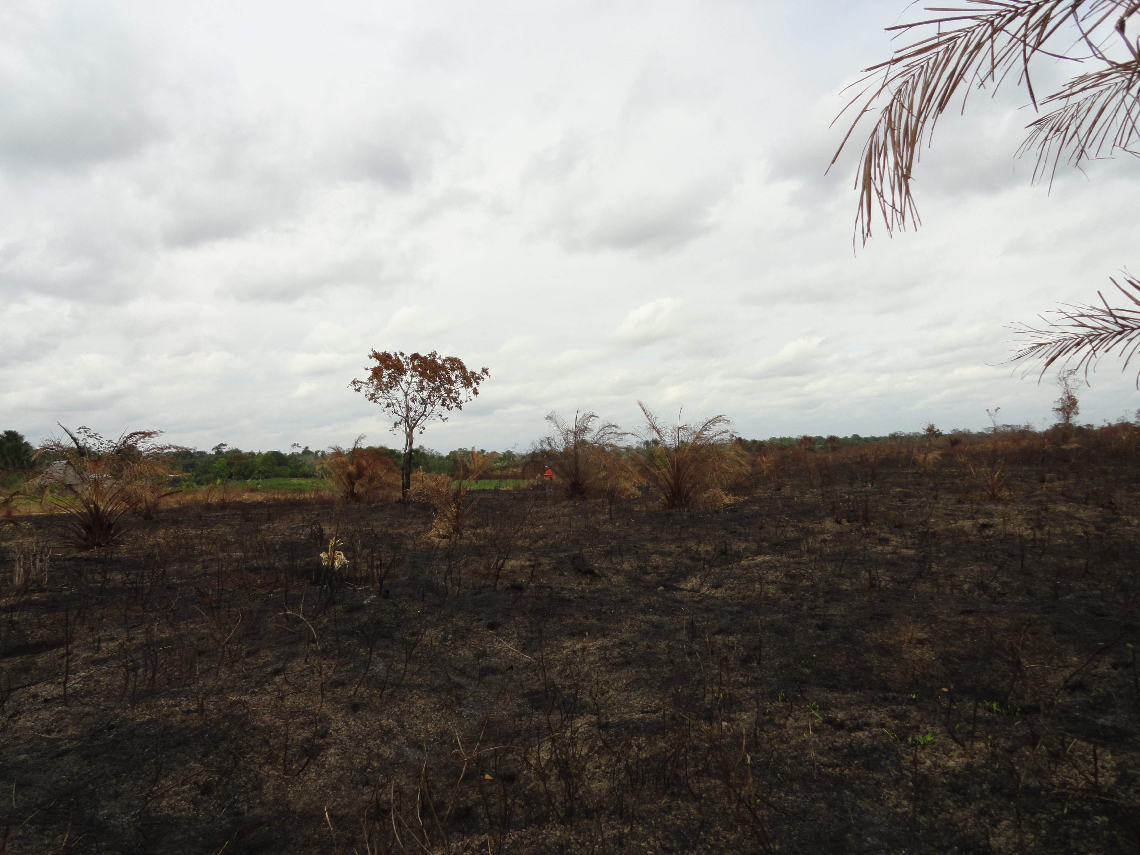 IRI – International Research Institute for Climate and Society | Risk ...