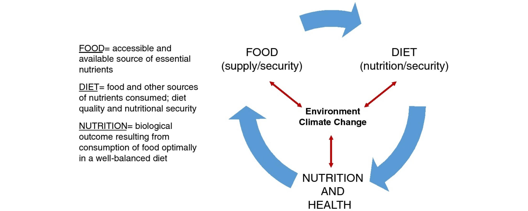 IRI – International Research Institute for Climate and Society ...