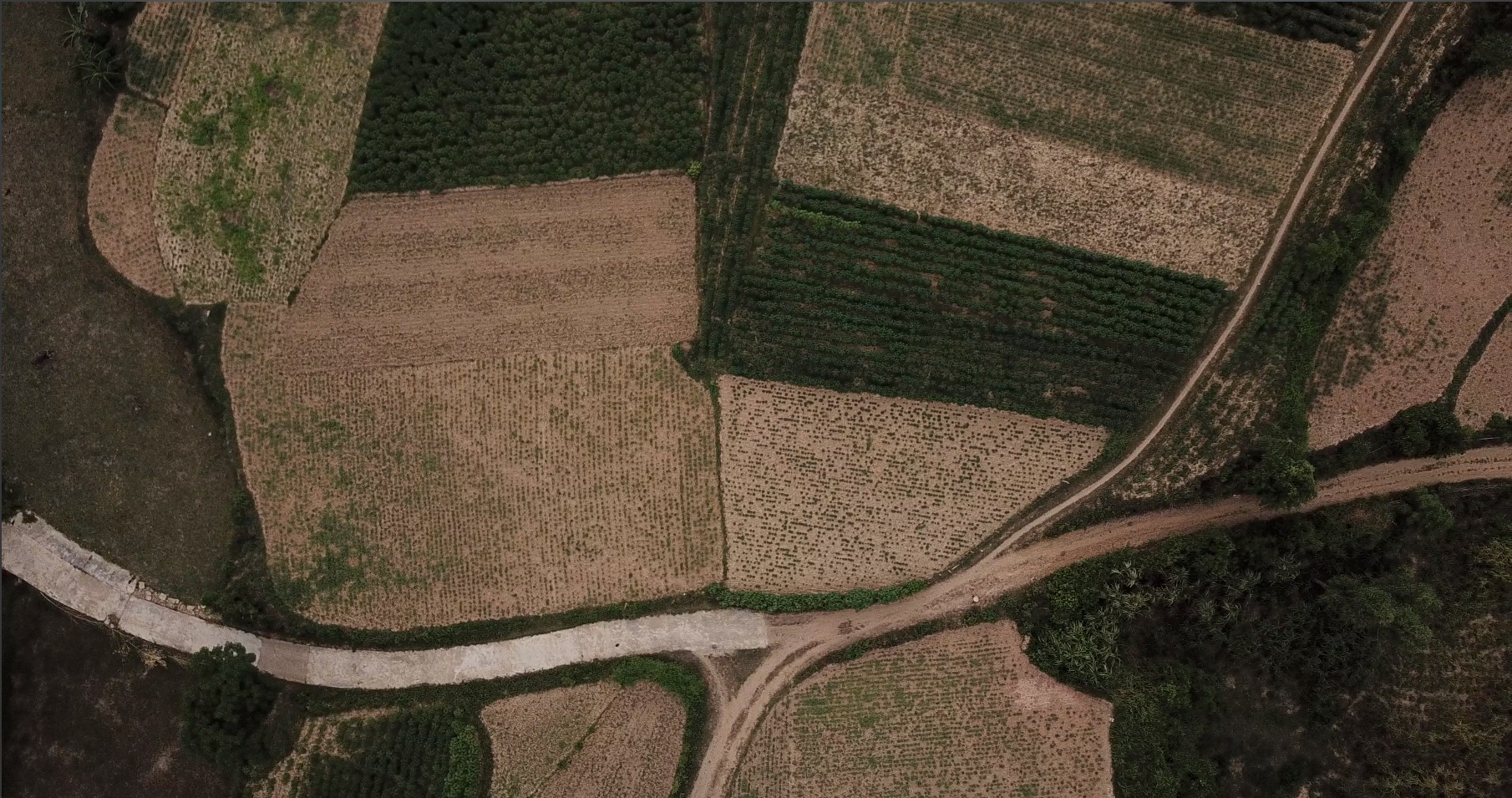 IRI – International Research Institute for Climate and Society ...