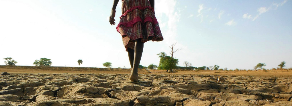 IRI – International Research Institute for Climate and Society